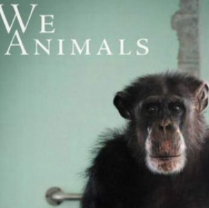 We Animals - Jo-Anne McArthur